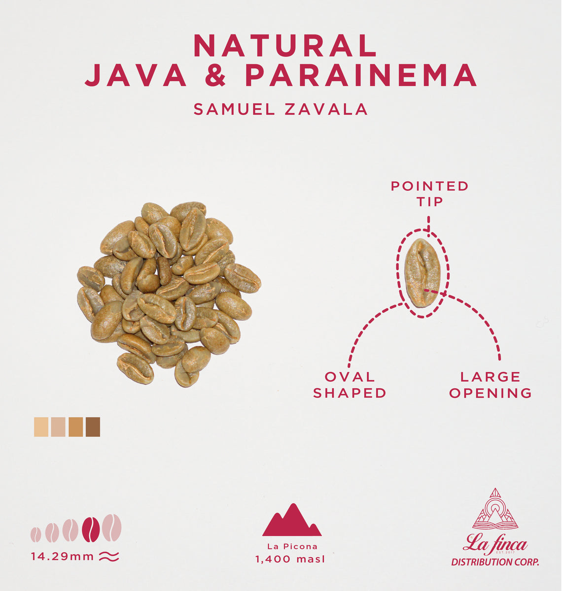Java, Parainema Natural • Samuel Zavala • Nicaragua Green Coffee